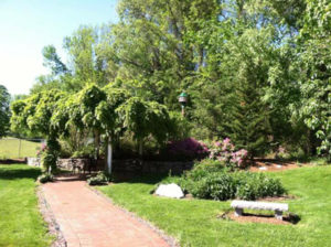 DRU Marketplace - Shop Doberman Merch - Doberman Rescue Unltd